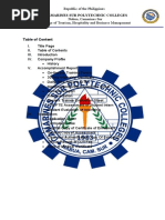 Practicum Report Sample | PDF