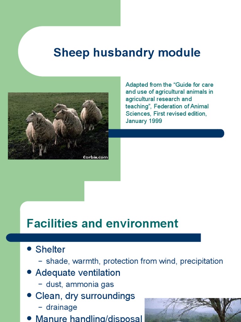 sheep module | PDF