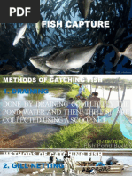 Fish Preservation Methods Explained | PDF | Food Preservation | Foods