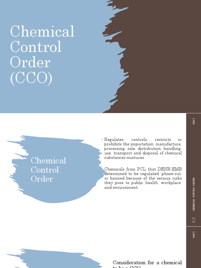 CCO Presentation 2023 | PDF