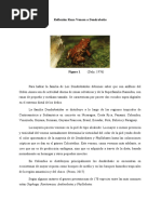 Rana Nodriza Niputidea (Allobates Niputidea) NaturaLista Colombia | PDF