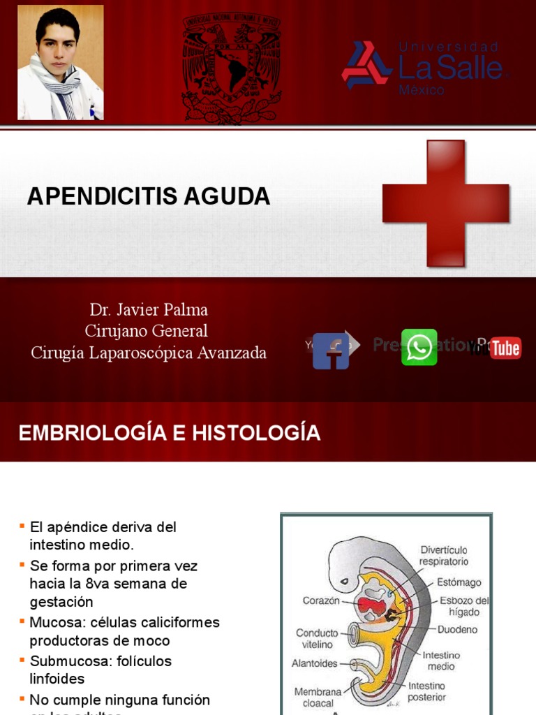 Apendicitis Aguda | PDF | Especialidades Medicas | Medicina CLINICA Apendicitis Aguda | PDF | Especialidades Medicas | Medicina CLINICA