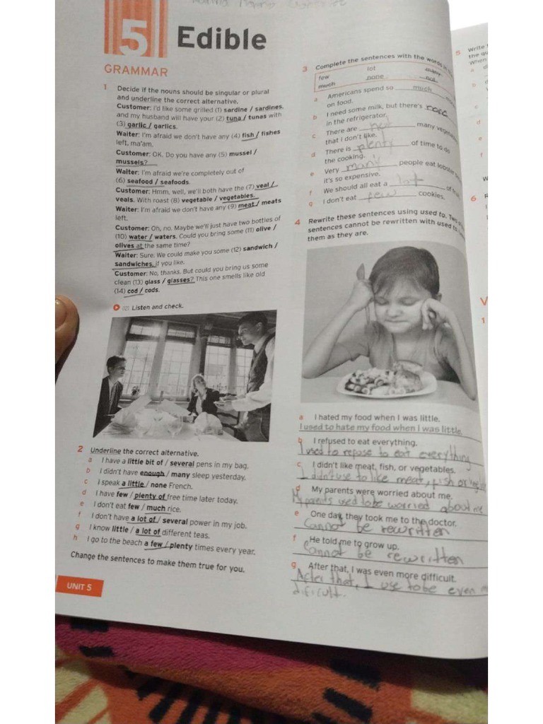 WB Unit 5 | PDF