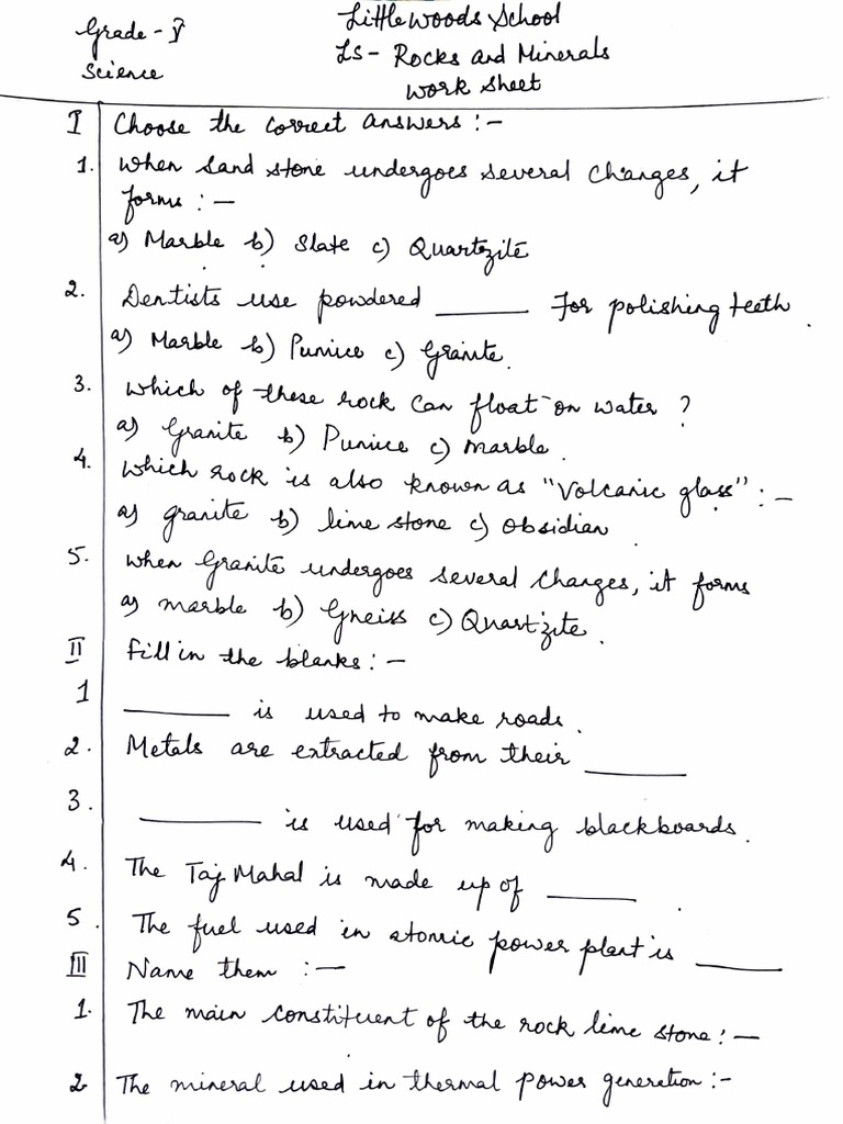 Grade 5 Science Worksheet Lesson 10 | PDF
