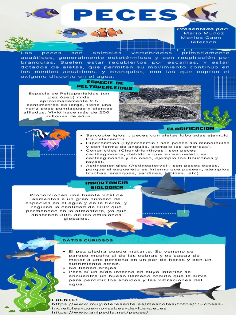 PECES | PDF | Pescado | Vertebrados