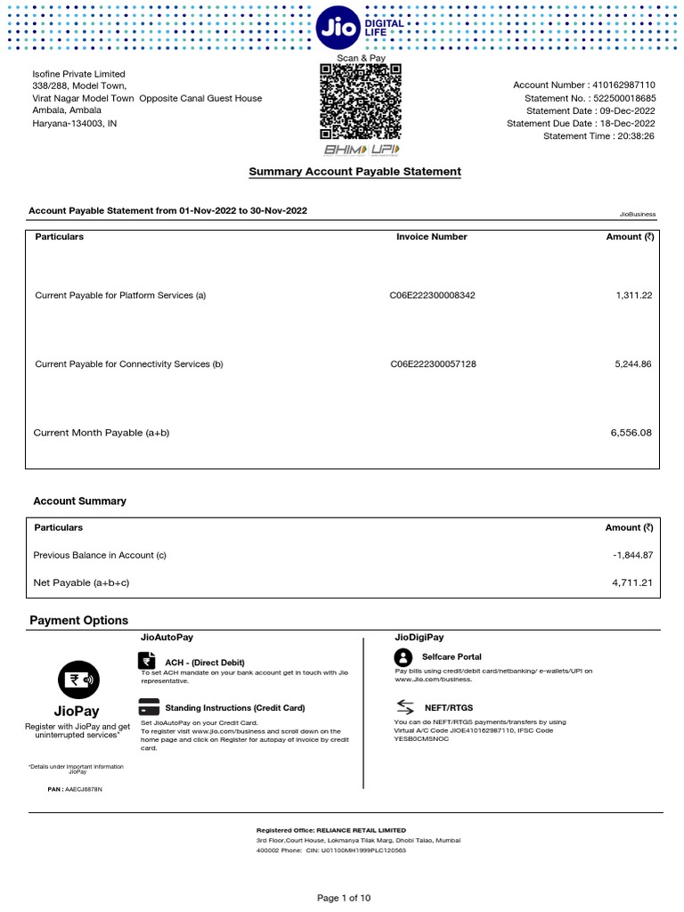 Summary Account Payable Statement: Jiopay | PDF | Credit Card | Invoice