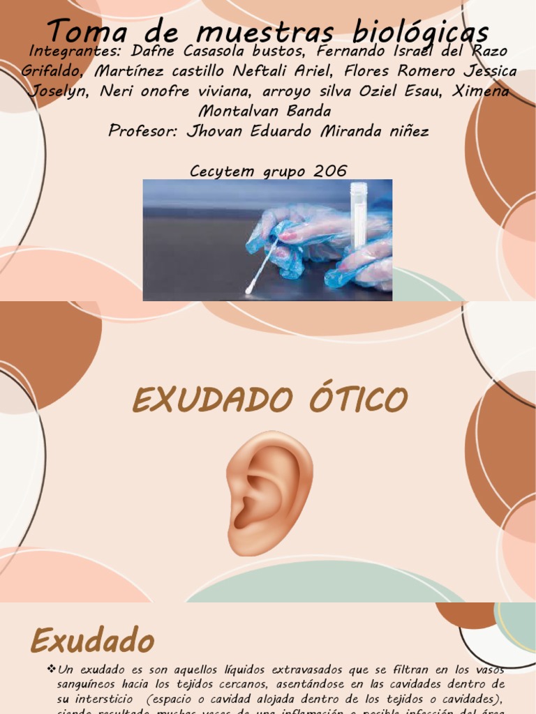 Exudado Otico 2 | PDF