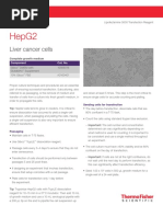 Lipofectamine MessengerMAX Man | PDF | Messenger Rna | Transfection