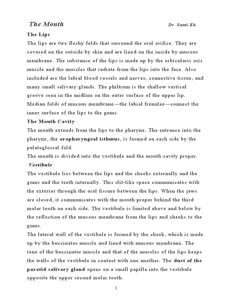 Anatomy of the Mouth and Tongue | PDF | Tongue | Lip