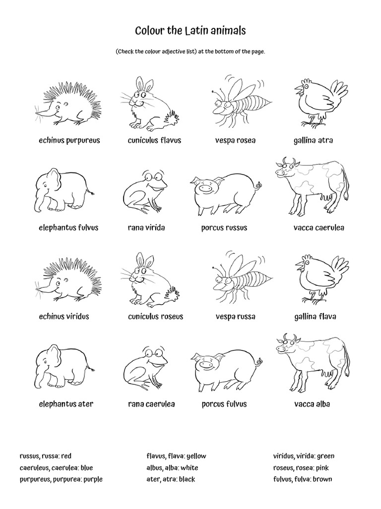 colour_latin_animals | PDF