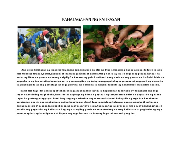 KAHALAGAHAN NG KALIKASAN - Docx1 | PDF