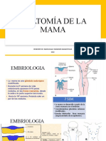 Anatomía y Función de la Mama Femenina | PDF | Pecho | Anatomía humana