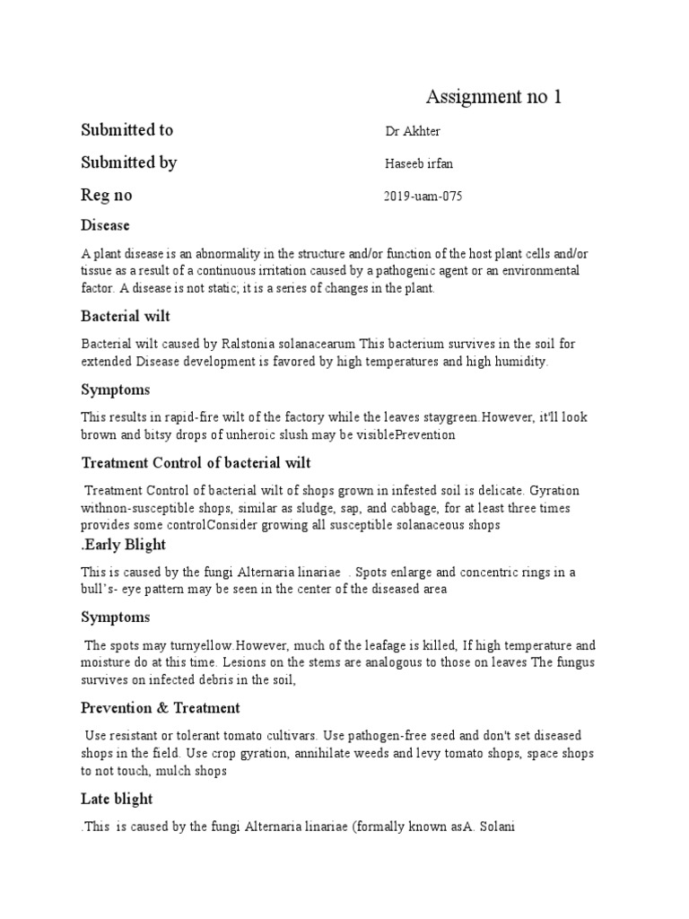 Assignment No 1 | PDF