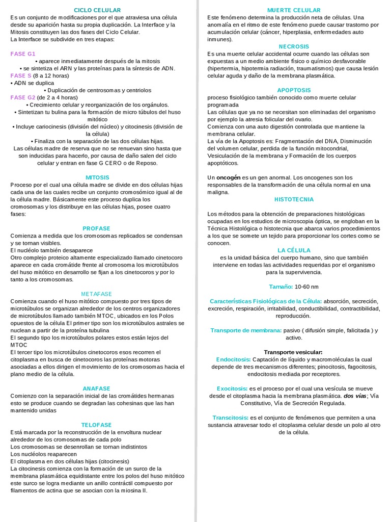 Repo Histología Def | PDF