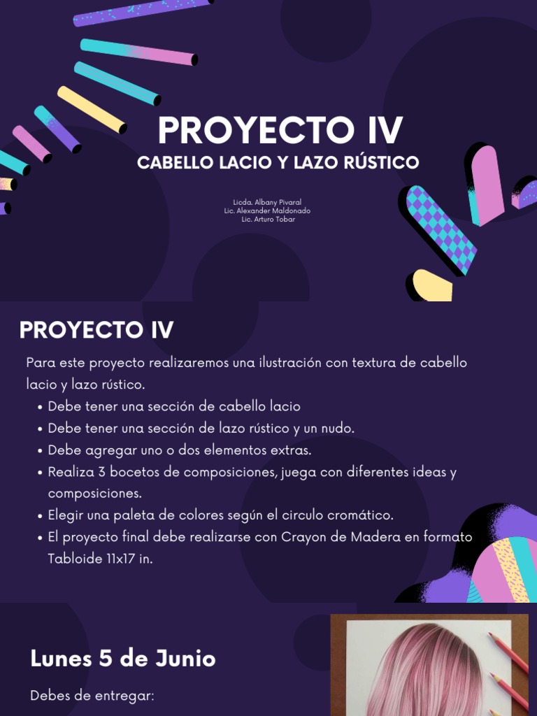 Proyecto IV | PDF
