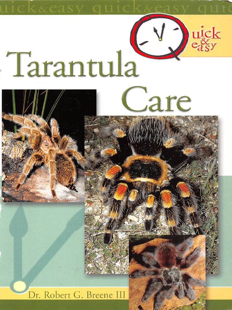 Quick & Easy Tarantula Care Guide | PDF | Spider | Egg