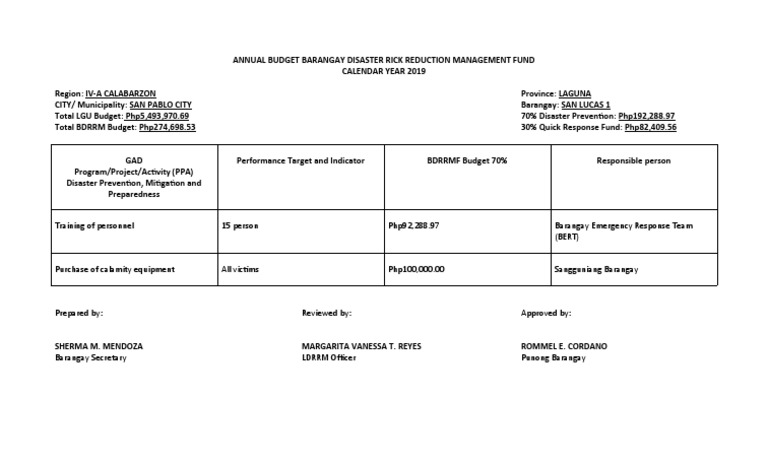 BDRRM PLAN 2019 | PDF