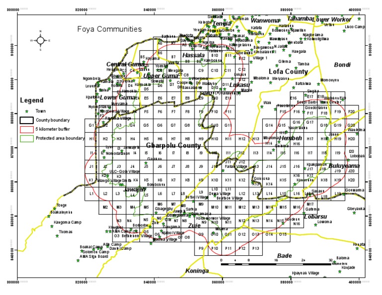 Foya Community-1 | PDF