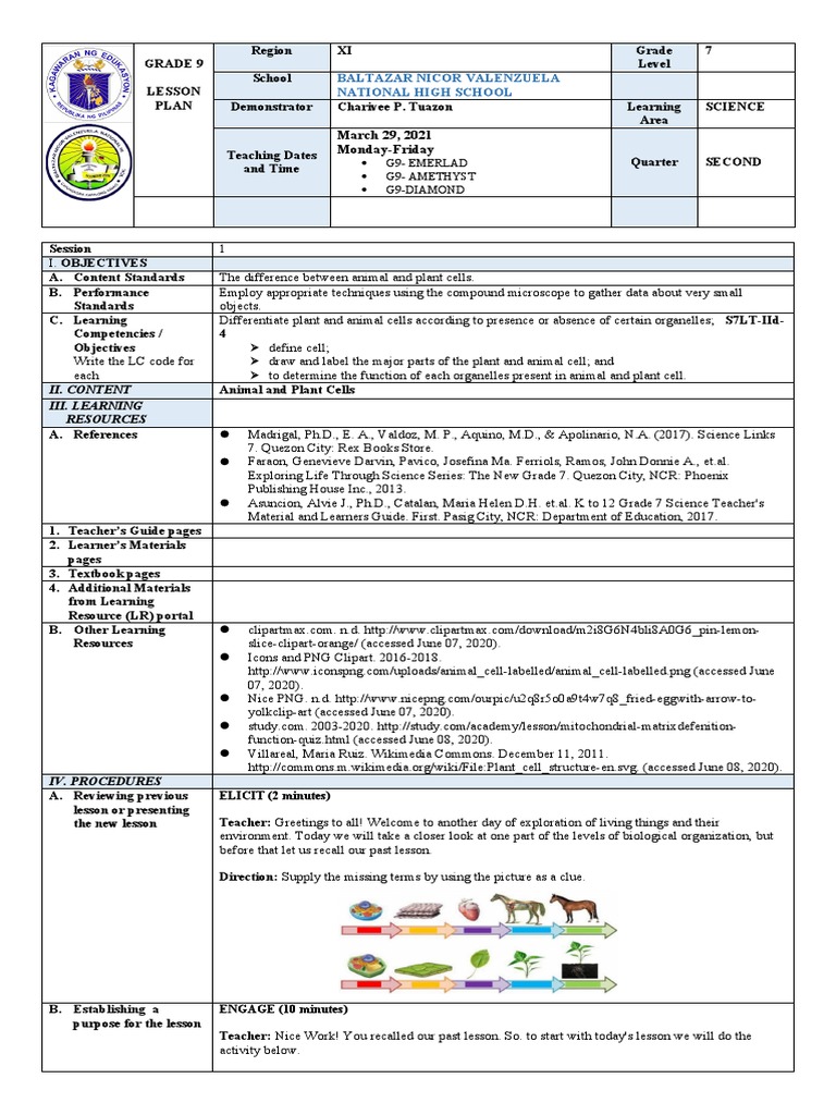 Lesson Plan (Plant and Animal Cells) | PDF | Cell (Biology ...