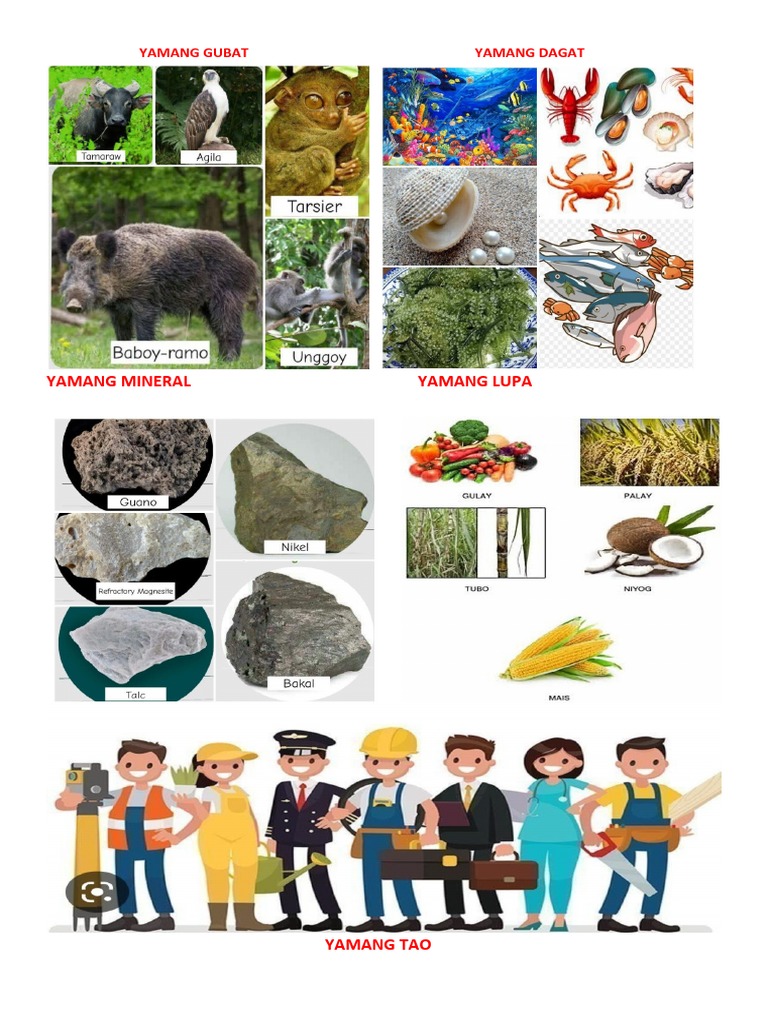 YAMANG GUBAT YAMANG DAGAT | PDF