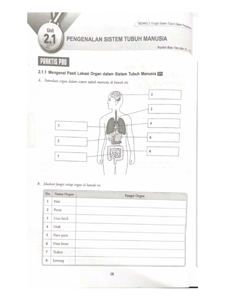 Pengenalan Sistem Tubuh Manusia | PDF Pengenalan Sistem Tubuh Manusia | PDF