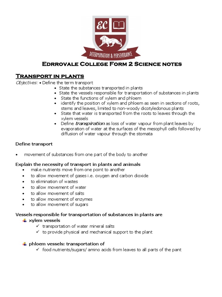 transport in plants notes | PDF