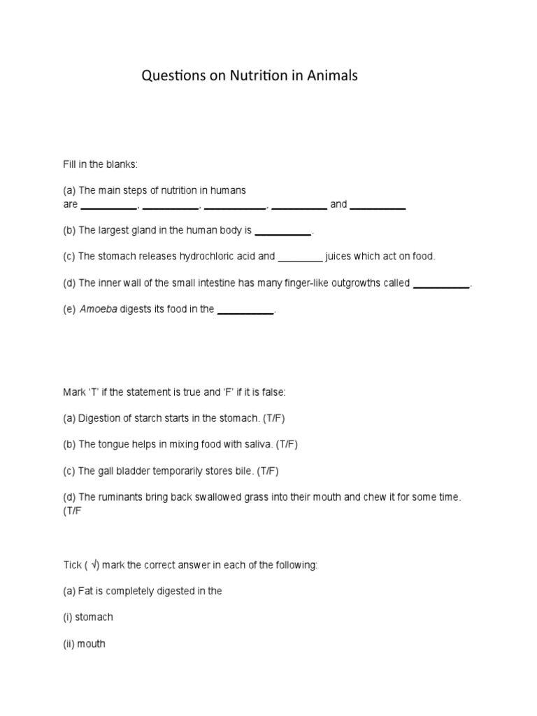 Questions On Nutrition in Animals | PDF | Wellness | Technology ...