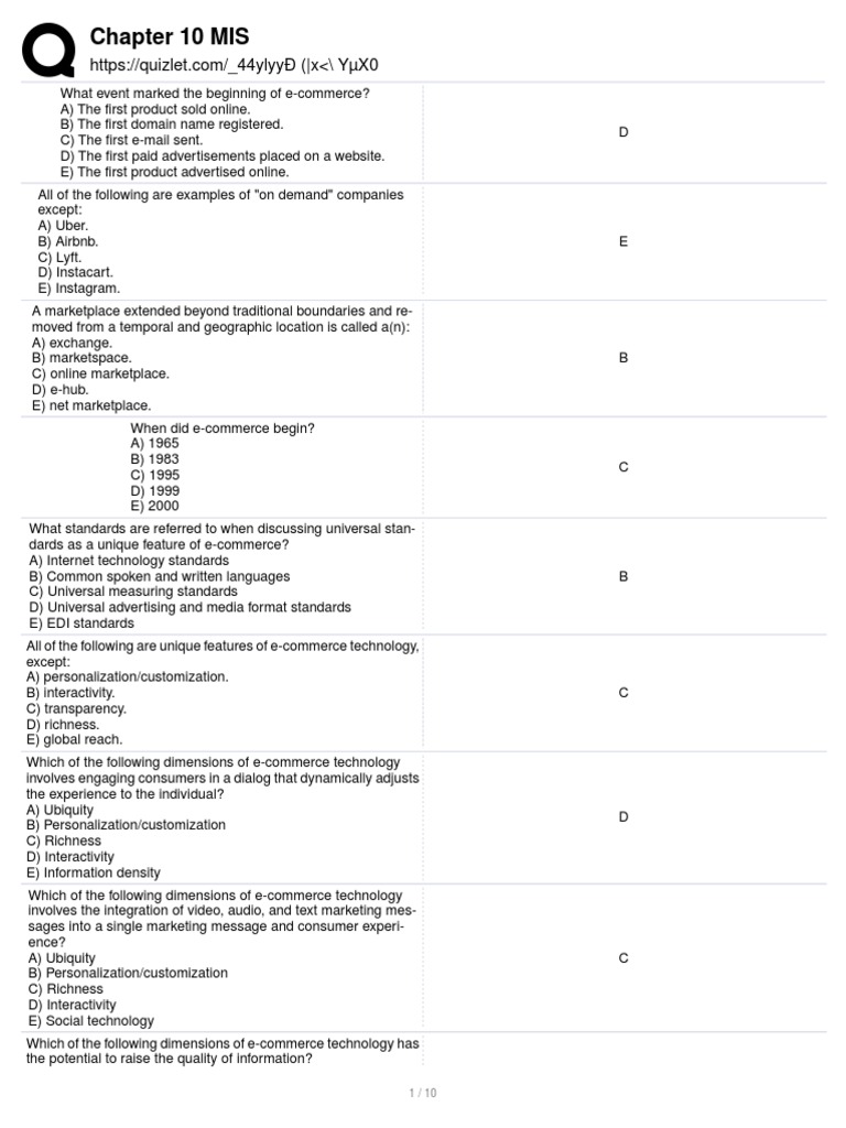 Chapter 10 MIS | PDF