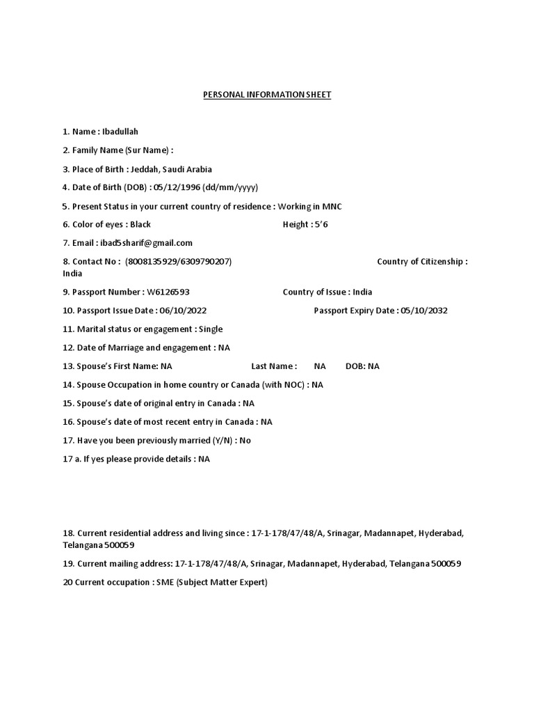 Ibad Inform | PDF | International Relations | Government And Personhood
