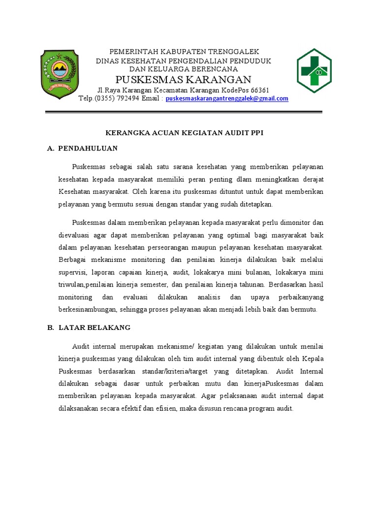 Kak Audit Ppi | PDF