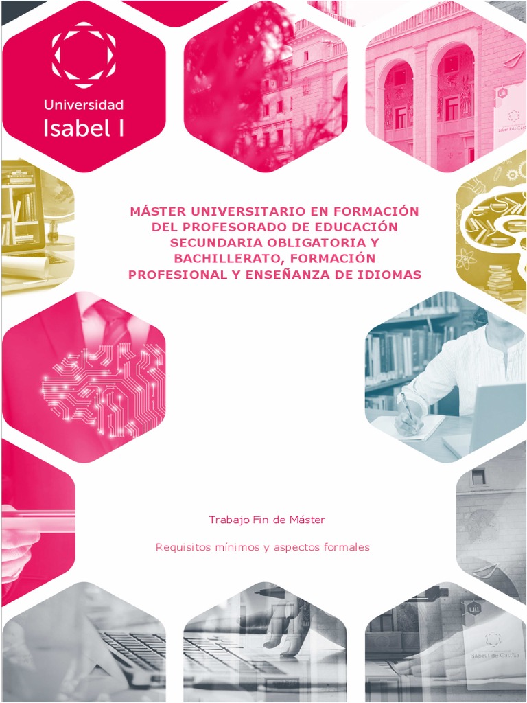 Requisitos Mínimos y Aspectos Formales - TFM - 20 | PDF | Citación ...