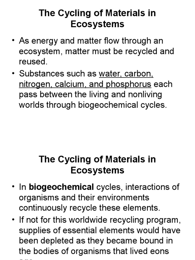 The Cycling of Materials in Ecosystems | PDF | Photosynthesis | Carbon ...