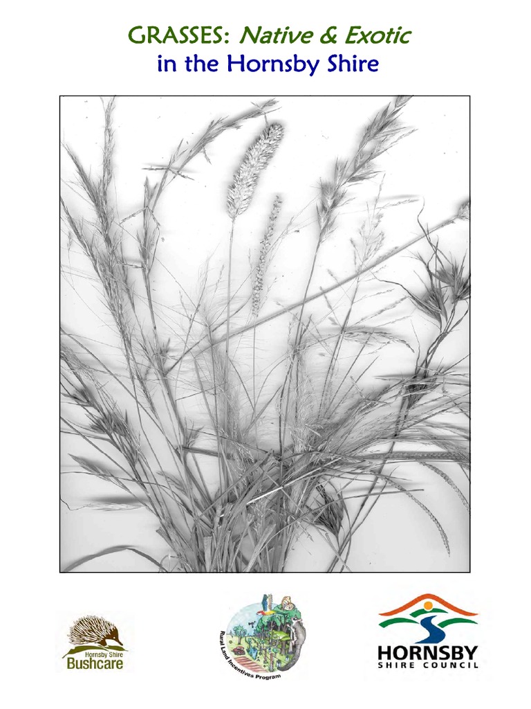 Grasses Workshop Booklet 2013 July | PDF | Perennial Plant | Seed