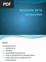 Anatomie des Muscles de la Face | PDF | Lèvre | Anatomie