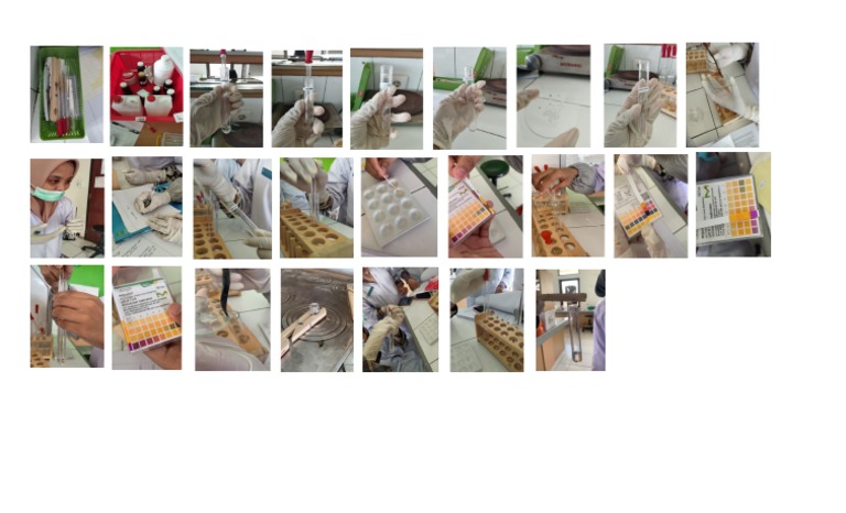 Amina Dan Amida | PDF