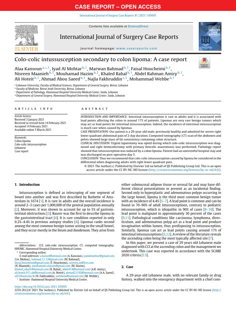 1 s2.0 S2210261221001954 Main | PDF | Large Intestine | Ct Scan