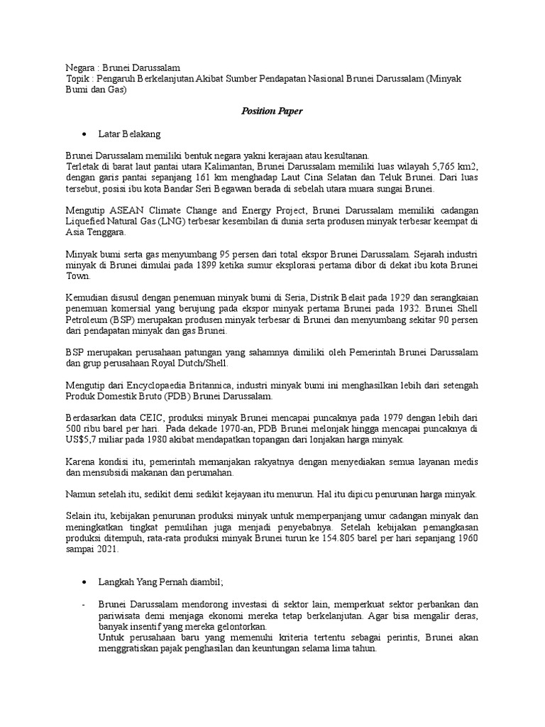 Position Paper | PDF