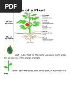 NJUG Tree Protection Guidelines 2025 | PDF | Trees | Root