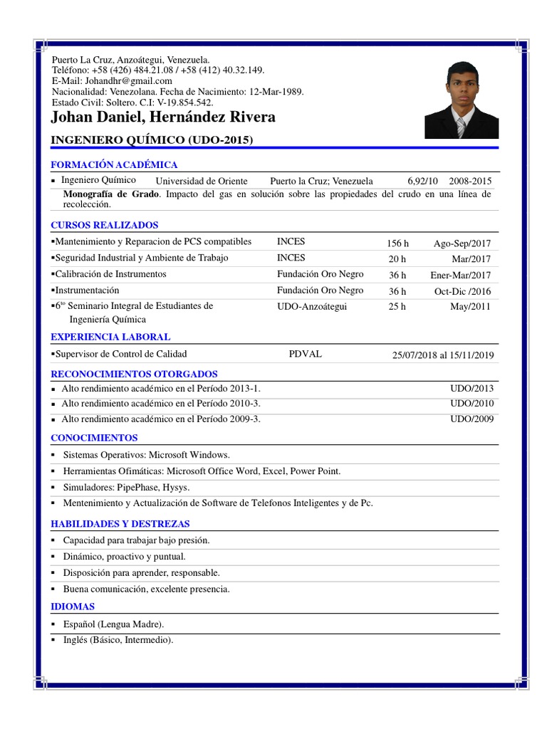 Curriculum Vitae Ing Quimico | PDF