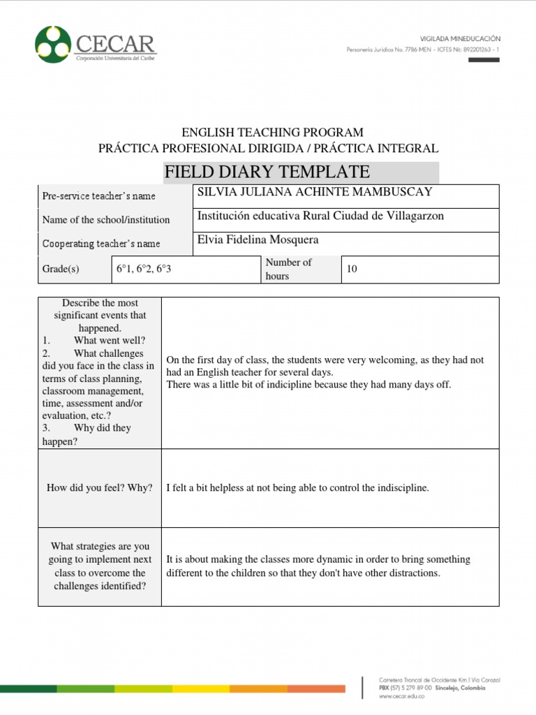 Field Diary Template 6° | PDF | Classroom Management | Teachers