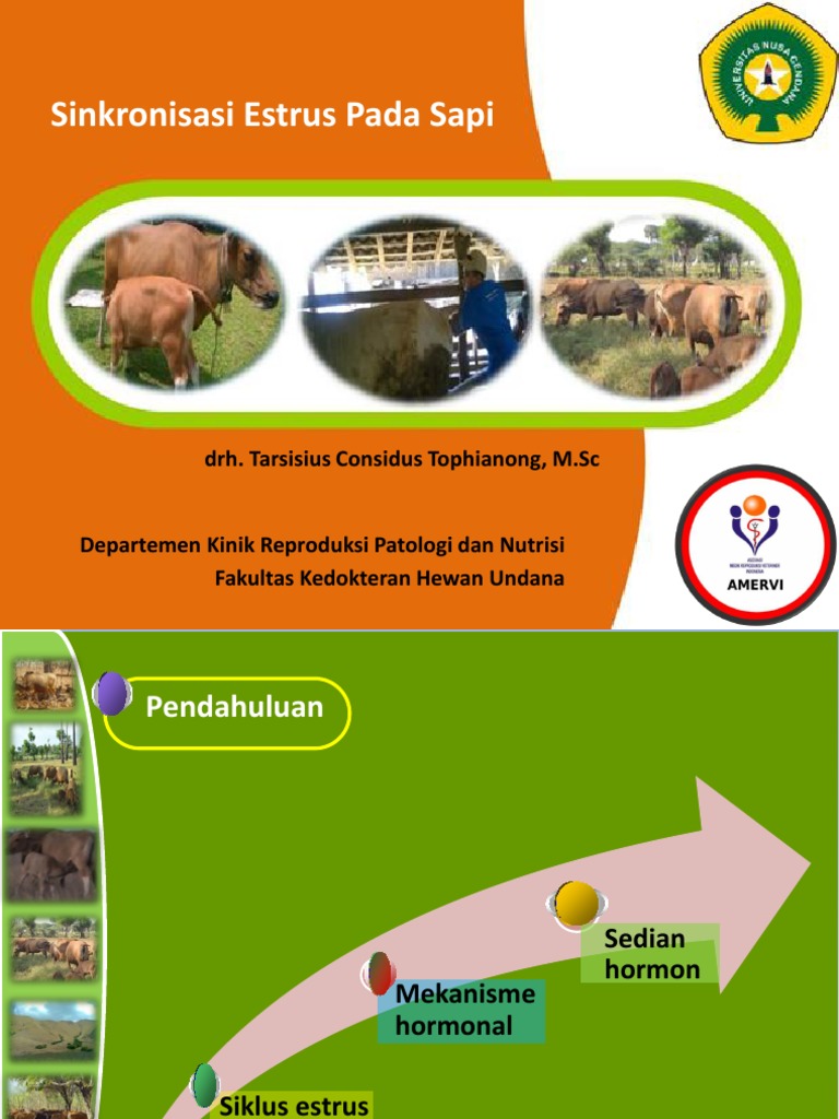 Sinkronisasi Estrus | PDF