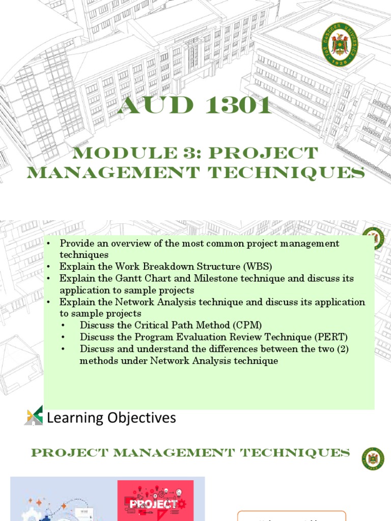 Module 3 - Project Management Techniques | PDF