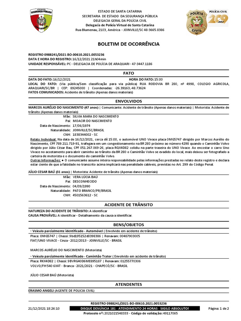 Boletim de Ocorrencia | PDF