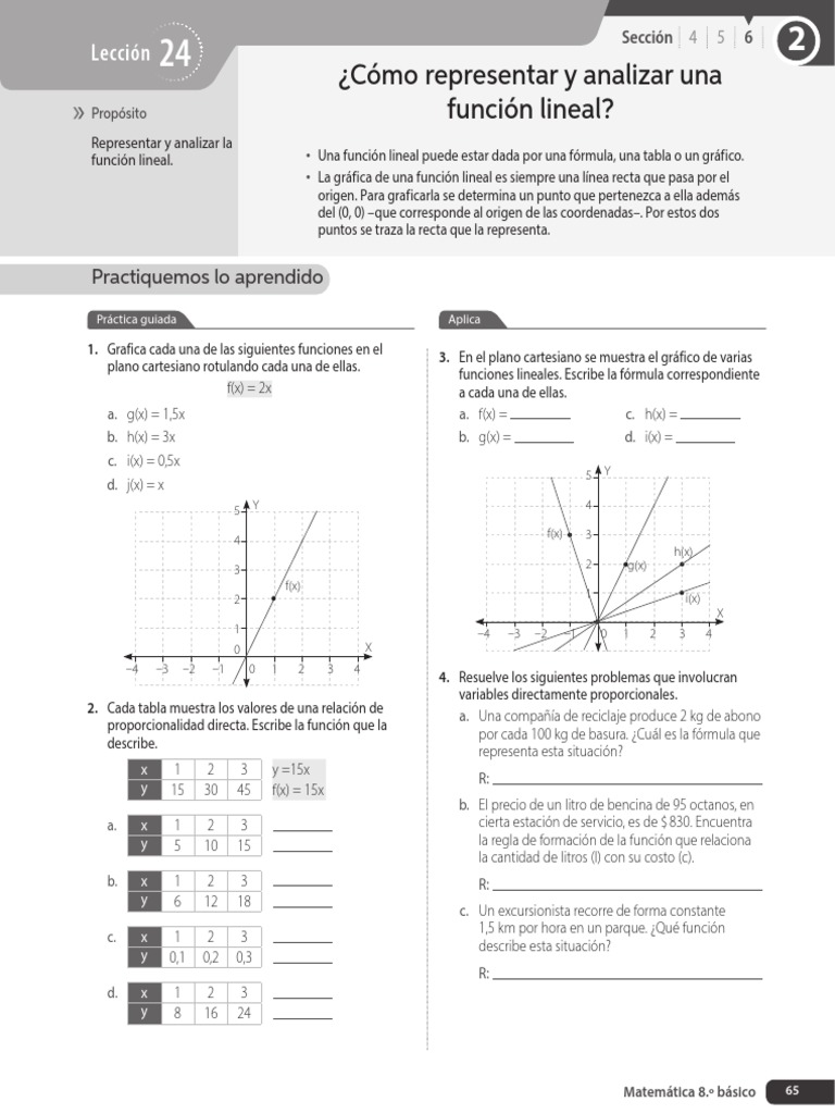 Ejercicios de Funciones Lineales 8° Básico | PDF | Función (Matemáticas ...
