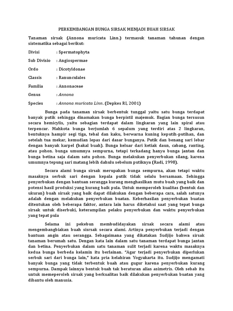 Perkembangan Bunga Sirsak Menjadi Buah Sirsak | PDF | Griya & Taman