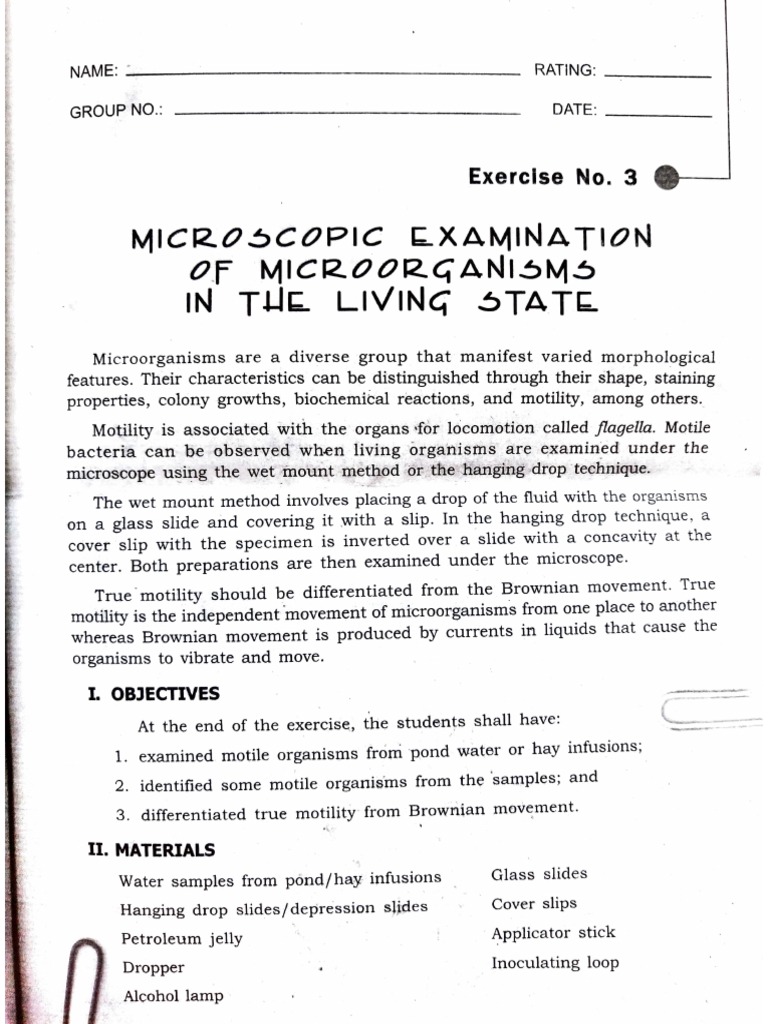 MICROS | PDF