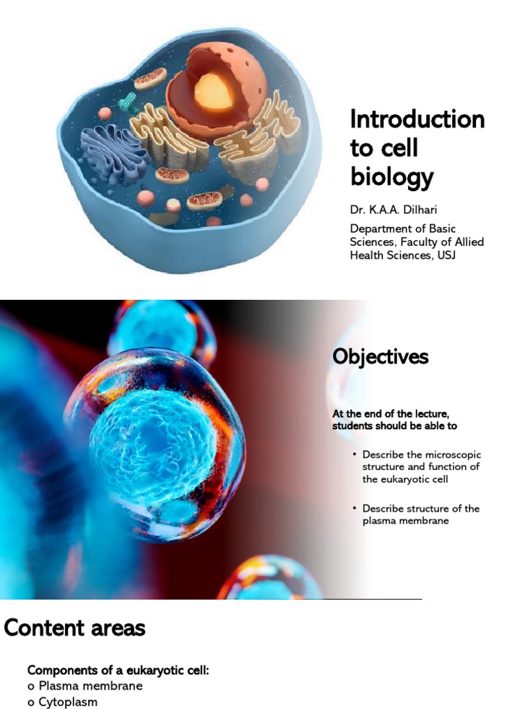 02 Introduction To Cell Biology (Anatomy - 02) | PDF | Endoplasmic ...