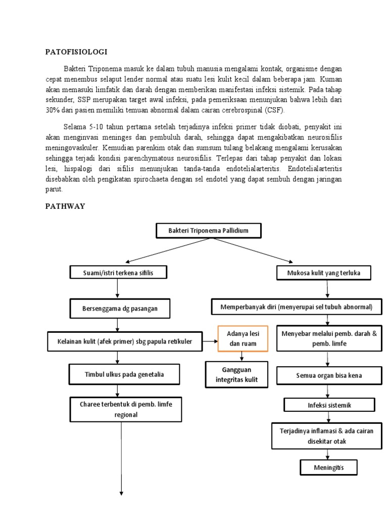 PATOFISIOLOGI Dan Pathway Sifilis | PDF