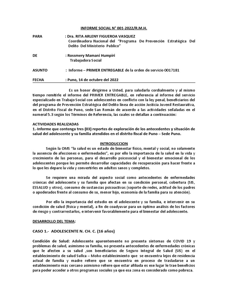 Informe Social Primer Entregable | PDF