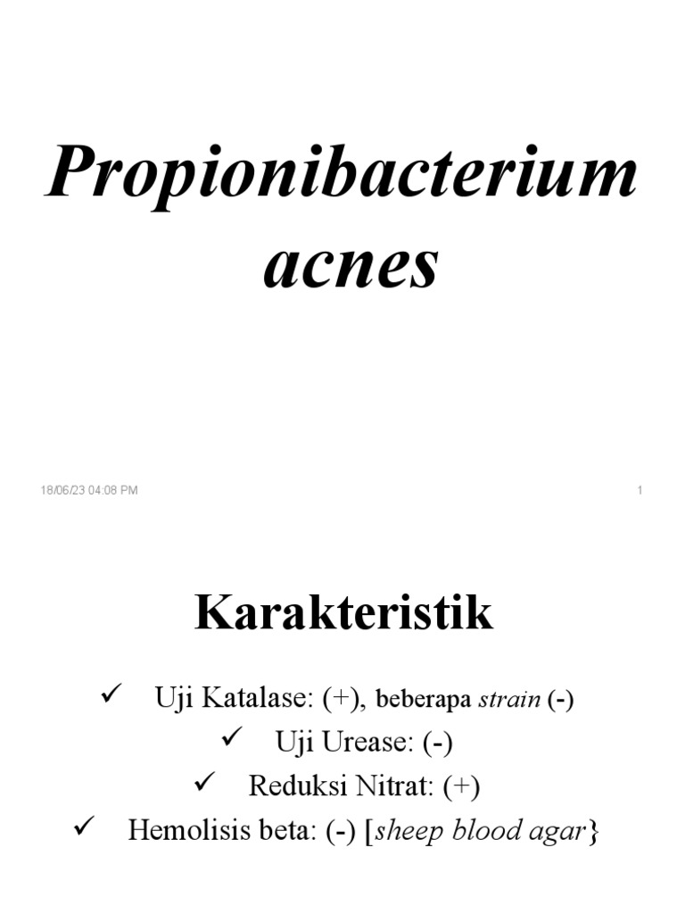 Karakteristik Propionibacterium acnes | PDF